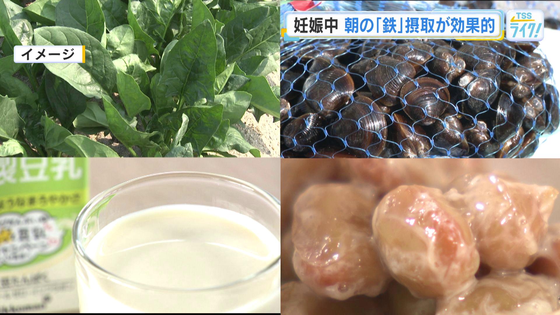 妊娠中の女性「貧血」対策 「鉄の摂取」は夕方より朝が効果的 広島大学の研究で明らかに | 広島ニュースTSS | TSSテレビ新広島