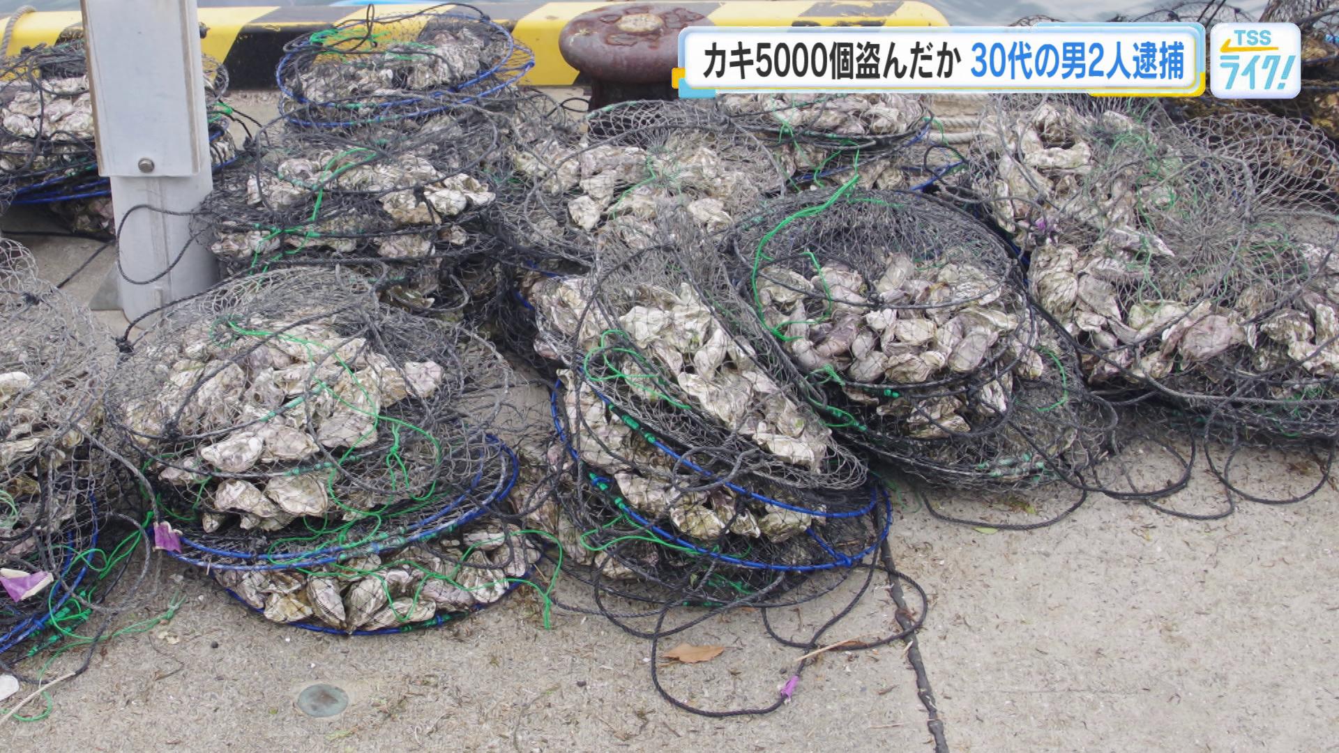 カキ筏から殻付きカキ5000個超を盗んだ疑い 30代の男2人を逮捕 金銭目的の犯行か 広島海上保安部 | 広島ニュースTSS | TSSテレビ新広島
