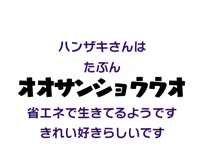 ハンザキさん | TSSテレビ新広島